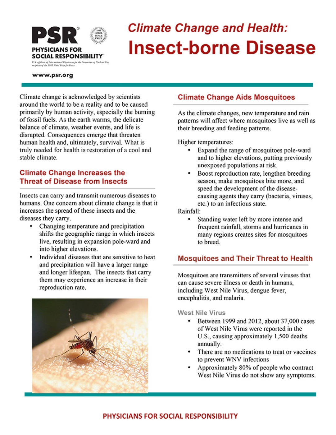 Climate and Health: Insect-borne Diseases | Physicians for Social ...