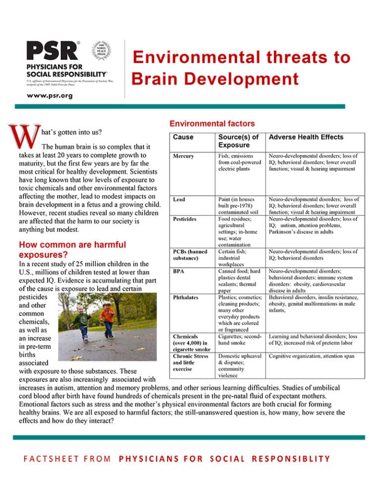 Environmental Threats to Brain Development | Physicians for Social ...