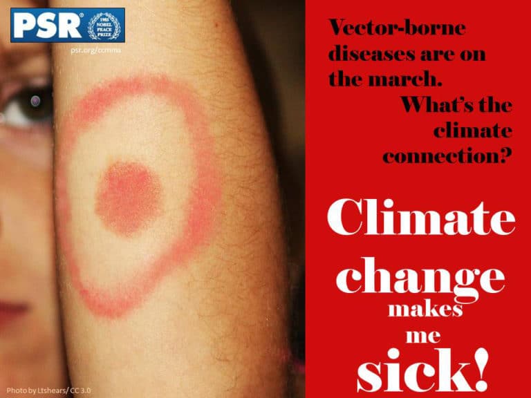 Climate Postcards: Vector-Borne Disease | Physicians for Social ...